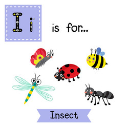 Letter I Insect Vector Images (84)