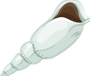 Conch Shell Cartoon Vector Images (over 1,600)