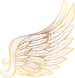 Golden wing isolated on white background design Vector Image