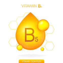 B5 Vector Images (over 81,000)