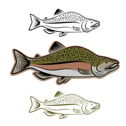 Salmon Jumping Coho Vector Images (63)