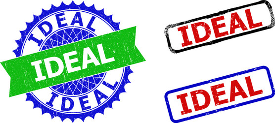 Perfect Rosette And Rectangle Bicolor Badges Vector Image