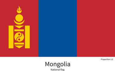 Simple flag correct size proportion colors Vector Image