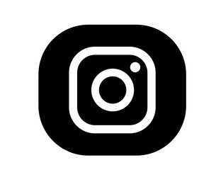 Instagram social media icon symbol design element Vector Image