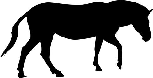 Zebra silhouette Royalty Free Vector Image - VectorStock