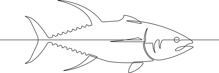 Yellowfin Tuna Drawing