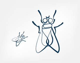 Butterfly insect art line isolated doodle Vector Image