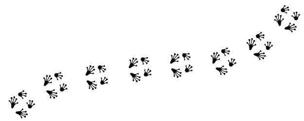 Step tracks animal trails animals paw footprint Vector Image