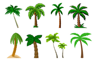 Cartoon Palm Trees Vector Images (over 24,000)