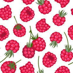 Raspberry seamless pattern sweet red Royalty Free Vector