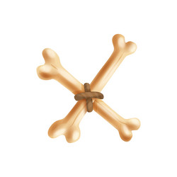 Realistic voodoo bones Royalty Free Vector Image