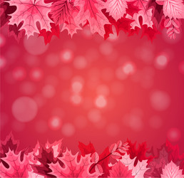Autumn fall background with bright golden maple Vector Image
