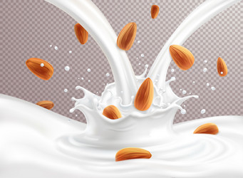Almond milk Royalty Free Vector Image - VectorStock