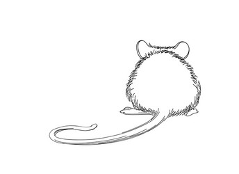 Mouse line art Royalty Free Vector Image - VectorStock
