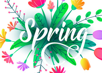 Spring natural floral symbols with blossom Vector Image