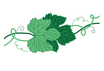 Grape Leaves Vector Images (over 7,300)