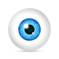 Realistic Human Eye Royalty Free Vector Image - VectorStock