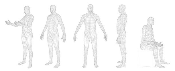 Human Body Wireframe Vector Images (over 1,800)