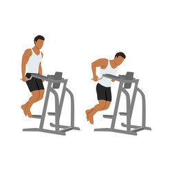 Man doing parallel dip bar exercise flat Vector Image