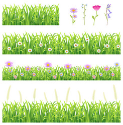 Element for design green grass isolated Royalty Free Vector
