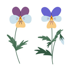 Viola flower cartoon style trendy modern Vector Image