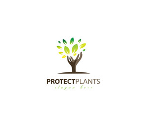 Tree botany life nature logo Royalty Free Vector Image