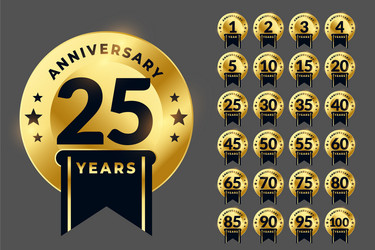 Golden anniversary labels and emblems big set Vector Image