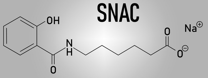 Sodium salcaprozate snac skeletal formula Vector Image