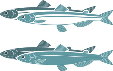Capelin Royalty Free Vector Image - VectorStock