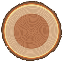 Tree Anatomy Vector Images (over 1,200)