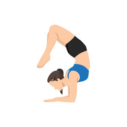 Yoga Scorpion Pose Vector Images (80)