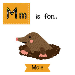 Letter m vocabulary mole Royalty Free Vector Image