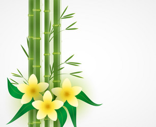 Borders Spa Vector Images (over 5,000)