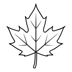 Elegant Maple Leaf Line Art Royalty Free Vector Image