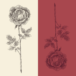 Vintage Rose Vector Images (over 100,000)
