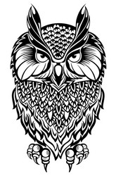 Owl Vector Images (over 53,000)