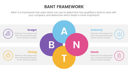 Bant sales framework methodology infographic Vector Image