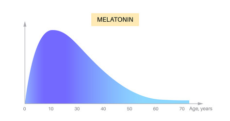 Melatonin in the human body Royalty Free Vector Image