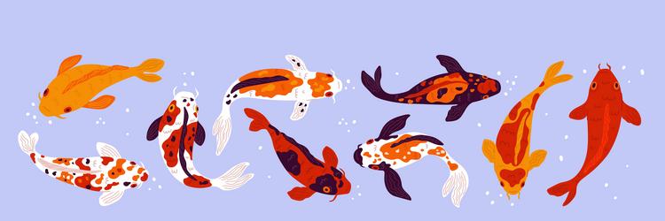 Koi Pond Top View Vector Images (over 160)