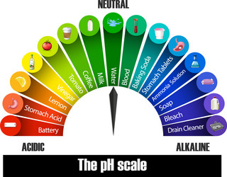 Ph scale on white background Royalty Free Vector Image