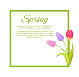Spring poster with text in frame colorful bouquet Vector Image