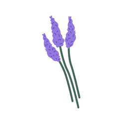 Lavanda Vector Images (over 230)