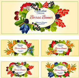 Berry labels Royalty Free Vector Image - VectorStock
