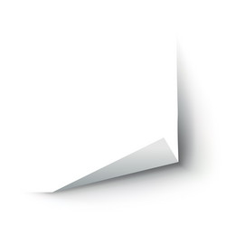 Curled paper corner curve page corner page edge Vector Image