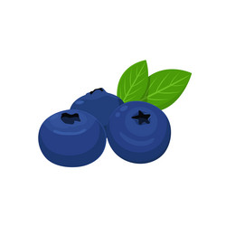 Blueberries isolated on white Royalty Free Vector Image