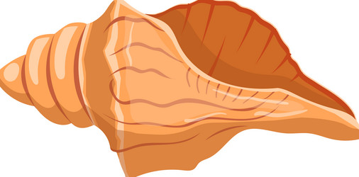 Shell sea cartoon Royalty Free Vector Image - VectorStock