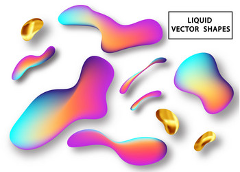 Fluid shape layout isolated template set Vector Image