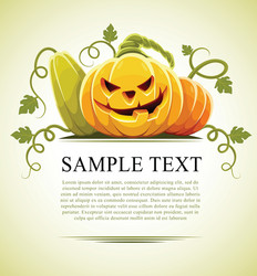 Pumpkin vegetable fruit isolated Royalty Free Vector Image