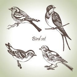 Bird Vector Images (over 520,000)