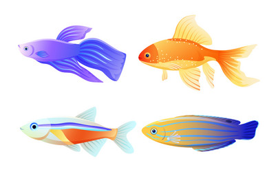 Set of sea fish color design flat Royalty Free Vector Image